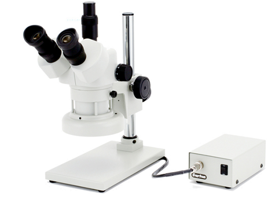 CARTON Zoom Stereo Microscope 70 DSZ – powerstep